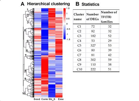 Expression Patterns Of Differentially Expressed Tf And Tr Genes During