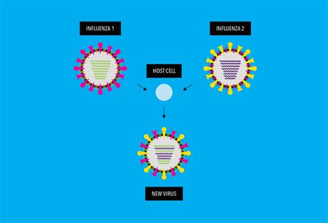 how do viruses mutate and what it means for a vaccine pfizer