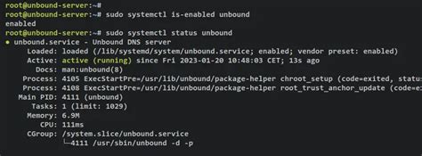 how to set up local dns resolver with unbound on ubuntu 22 04