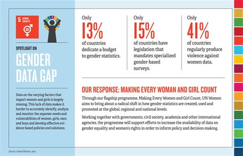 Gender Data Gap – The Un Sustainable Development Goals In Context 2020