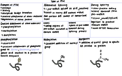 Post Translational Modifications Types Of Ptm Examples Of Ptm