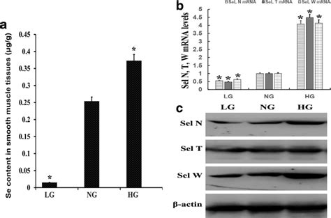 Se Content And Effect Of Selenium On The Expression Of Seln Selt And