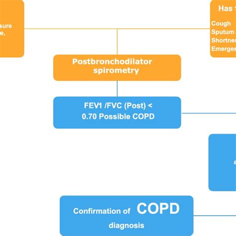 Final Diagram Of The Diagnosis Of Copd As Proposed By The Delphi