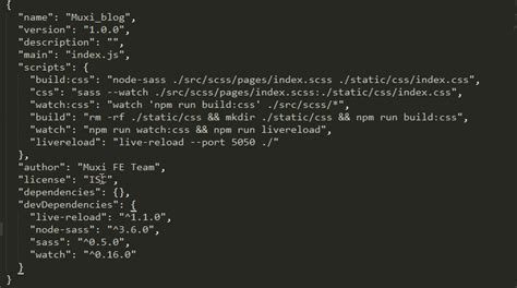 javascript npm run build css can not work while it is ok when i