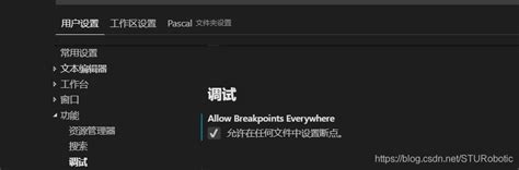 vs code 配置pascal使用环境（编译、调试） pascal环境 csdn博客