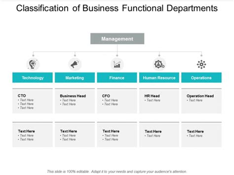 Classification Of Business Functional Departments Ppt Powerpoint