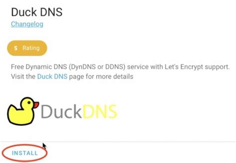 home assistant remote access using nginx reverse proxy and duckdns