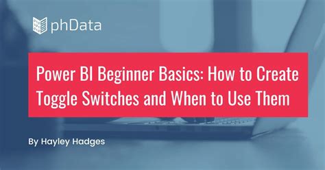 power bi beginner basics how to create toggle switches and when to use