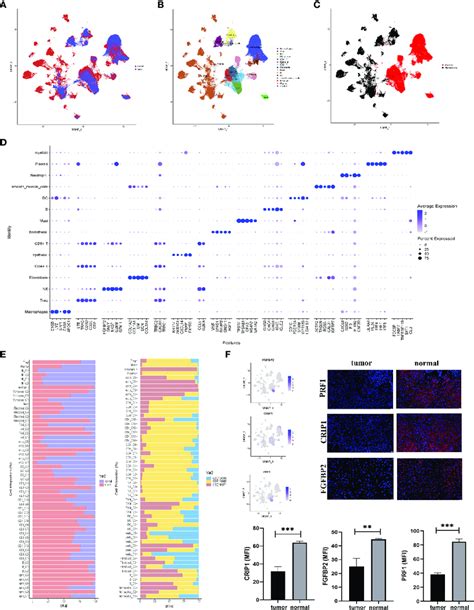 Comprehensive Scrna Seq Analyses Of Cells Derived From Luad Or Normal