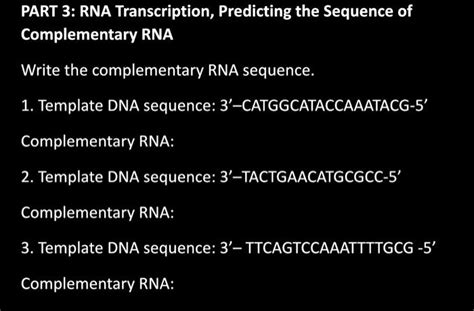 Solved Part 3 Rna Transcription Predicting The Sequence Of