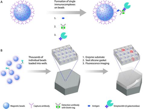 Single Molecule Enzyme Linked Immunosorbent Assay Detects Serum