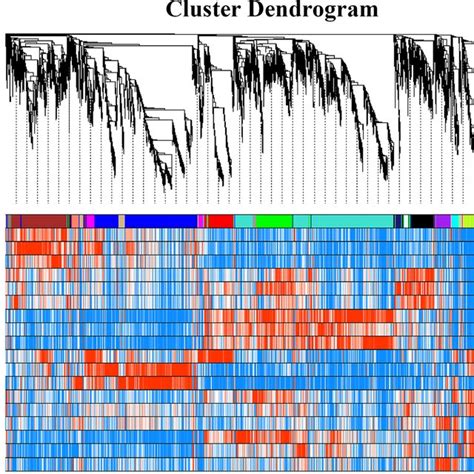 Weighted Gene Co Expression Network Analysis Wgcna Of 8 202 Degs