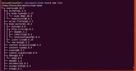 install npm nodejs package manager on ubuntu
