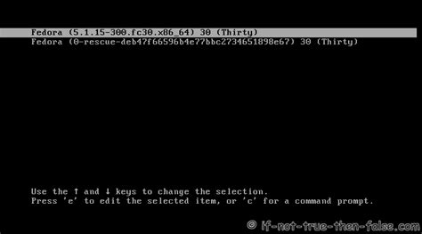 fedora 30 netinstall server install guide if not true then false