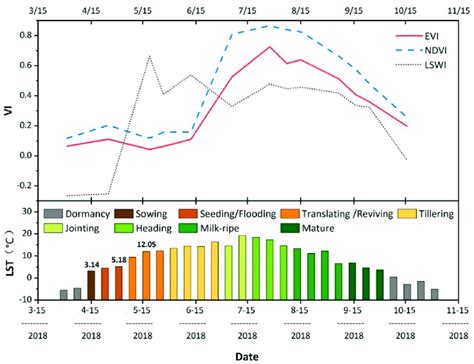 The Temporal Profile Of Paddy Rice Vis Ndvi Evi And Lswi At The