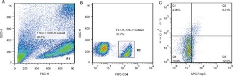 The Flow Cytometry Gating Scheme For Detecting Treg Cell Is Shown In