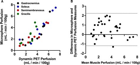 Quantification Of Skeletal Muscle Perfusion In Peripheral Artery