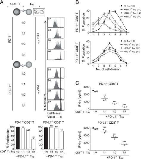 Figure 6 From Pd 1 Upregulated On Regulatory T Cells During Chronic