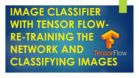 re training the network and classifying images image classifier with