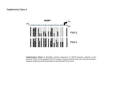 Dna Methylation Alterations In Grade Ii And Anaplastic Pleomorphic