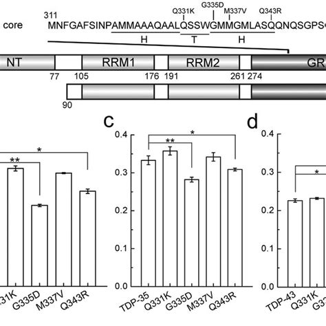 Assaying The Aggregation Abilities Of Tdp 43 Variants By Gfp Fusion