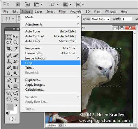 how to crop to fixed ratio in photoshop