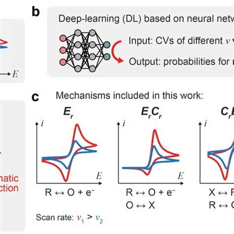 A Deep Learning Dl Algorithm Of Automatically Analyzes For Cyclic
