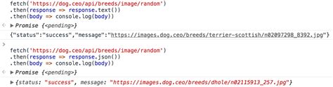 39 use fetch in javascript javascript answer