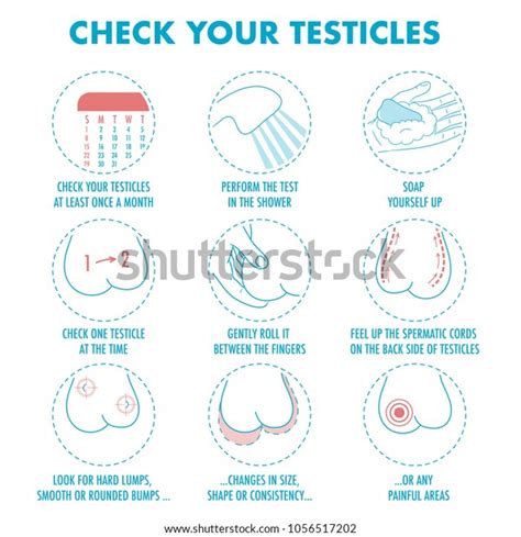 Testicles Self Exam Testicle Cancer Symptoms Vector Có Sẵn Miễn Phí