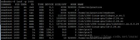 查看某个进程打开的文件及文件描述符 znzxc的博客 csdn博客 打开文件描述符