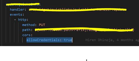 cors put and delete type is throwing error with serverless framework