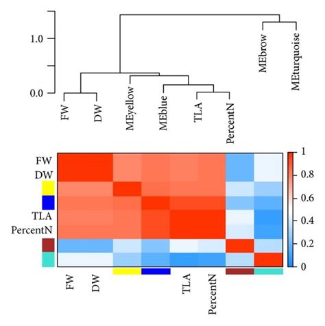 Module Eigengene Network And Its Relationship With Growth Traits The