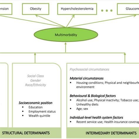 Conceptual Framework For Analysis Of Multimorbidity And Its