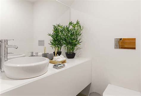 How To Create An Eco Friendly Bathroom Aussie Home Renovations