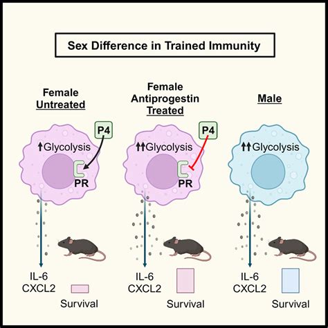 Lower Female Survival From An Opportunistic Infection Reveals