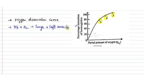 Solved The Graph Given Shows An Axygen Dissociation Curve For