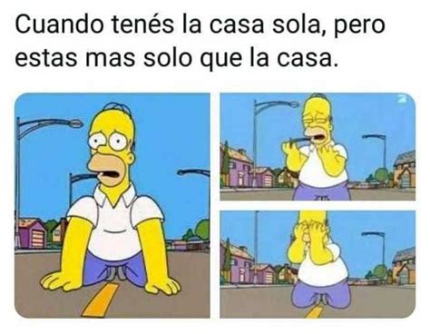 Cuando Tenés La Casa Sola Pero Estas Mas Solo Que La Casa Memes