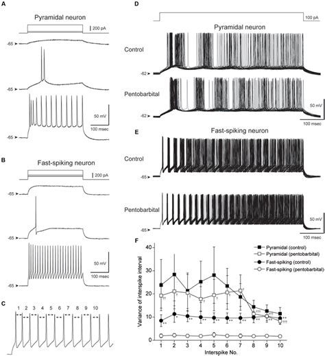 Comparison Of The Variance Of Interspike Interval Isi Between