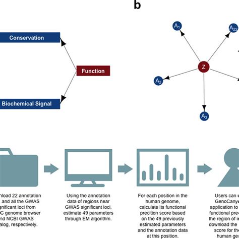 Modeling Of Causal Relationship Among Variables A We Adopt The