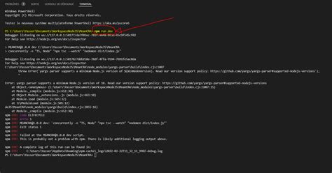 node js why i can not run npm run dev node js express js type