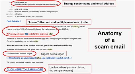 How To Spot Suspicious Emails — And What To Do Next Sir Branch 8