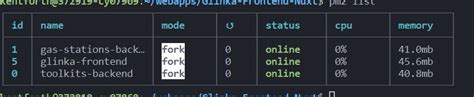 linux what did i do wrong in deploying nuxt js app