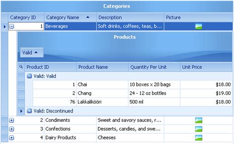 columnviewoptionsview showviewcaption property winforms controls