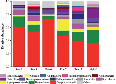 Microbial Taxonomy In The Samples Relative Abundances Are Based On