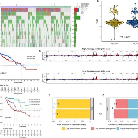 Integrated Comparisons Of Somatic Mutation And Cnvs Between High Risk