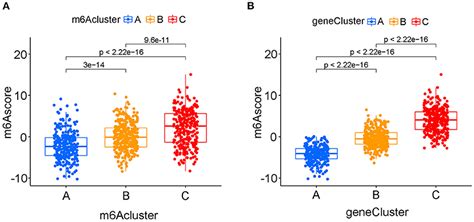 Frontiers Comprehensive Analysis Of N6 Methyladenosine Modification