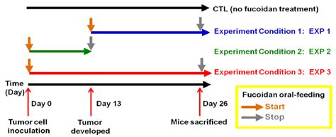 Fig S2 The Schematic Design For The Experiments Of Fig 2 Download