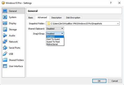 enable the copy and paste functionality between the host