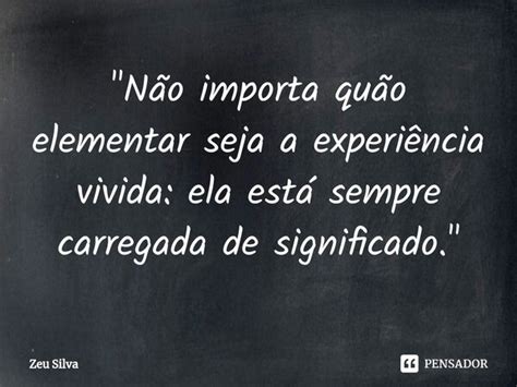 Não Importa Quão Elementar Zeu Silva Pensador