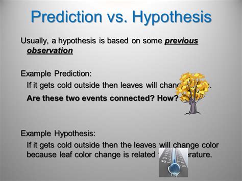 Explain The Difference Between A Hypothesis And Prediction